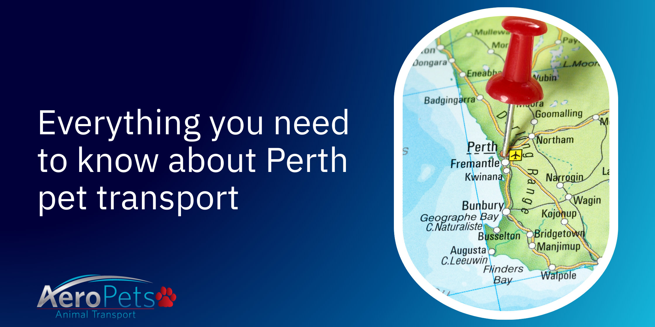 Everything you need to know about Perth pet transport - Aeropets